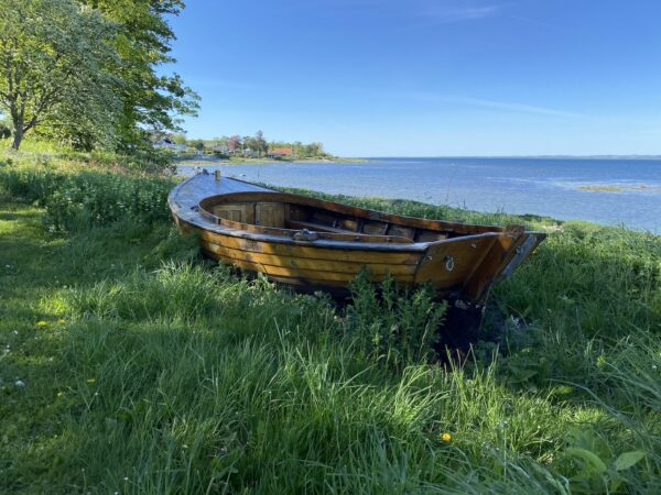 Fietsvakantie Zweden: Göteborg en de westkust - happyweekends